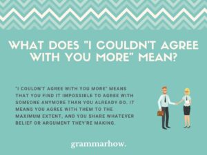 "I Couldn't Agree With You More": Meaning & Grammar (12 Examples)