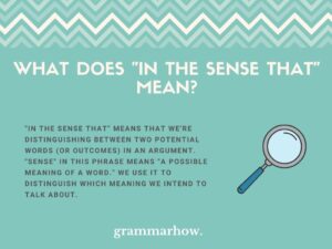 "In The Sense That" Meaning: 12 Example Sentences