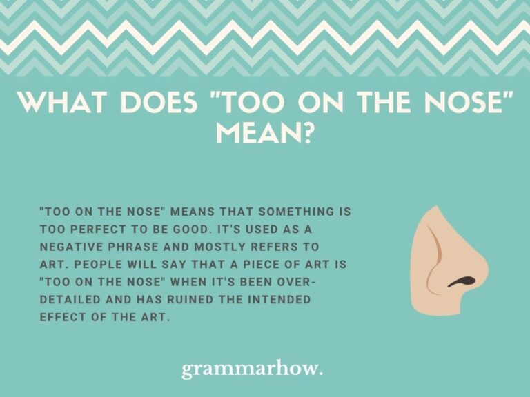 "Too On The Nose" Meaning: 12 Helpful Examples (Complete Guide)