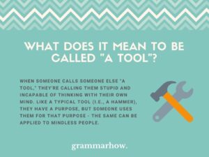 What A Tool (Said About A Person) - Meaning & Usage (7 Examples)