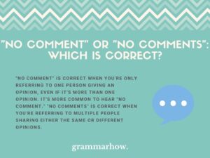 “No Comment” Or “No Comments” - Correct Version Revealed