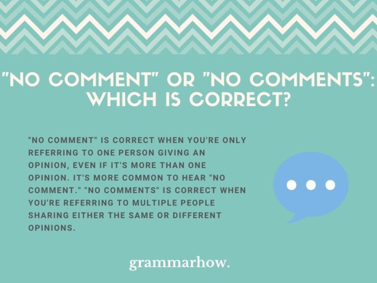 “No Comment” Or “No Comments” - Correct Version Revealed