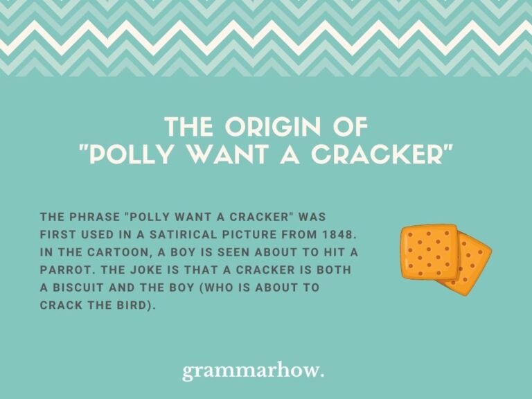 Why Does "Polly Want A Cracker"? True Origin Revealed