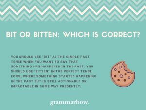 Bit or Bitten: Which Is Correct? (Helpful Examples)