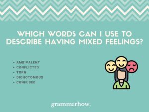 5 Good Synonyms For Having Mixed Feelings (Meaning Explained)