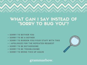 7 More Formal Ways To Say "Sorry To Bug You" In An Email