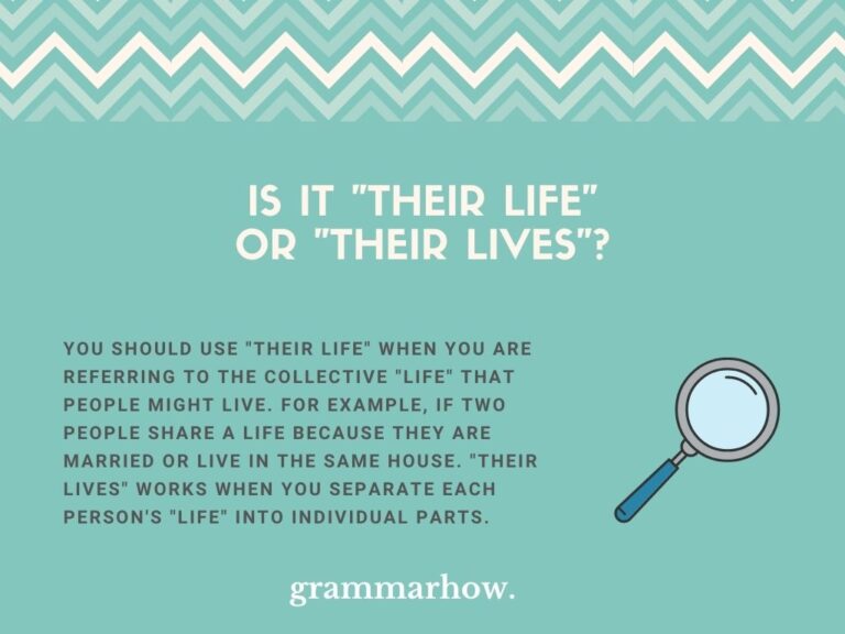 "Their Life" or "Their Lives" - Correct Version Explained