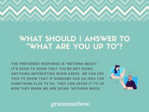 11 Best Answers To "What Are You Up To?"