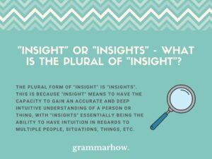 Insight or Insights - What is The Plural of "Insight"?
