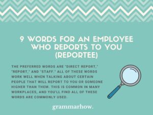 9 Words For An Employee Who Reports To You (Reportee)