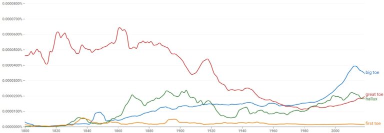 What Are the Names of My 5 Toes? (Full Explanation)