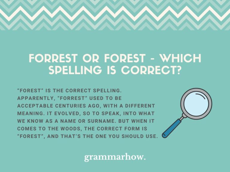 Forrest or Forest - Which Spelling Is Correct? (+Examples)