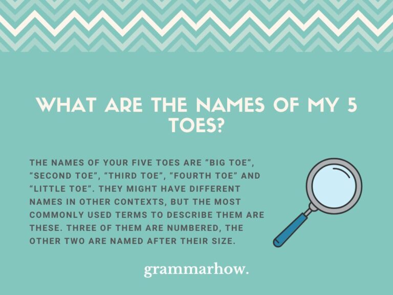 What Are the Names of My 5 Toes? (Full Explanation)