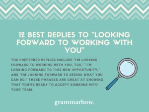 12 Best Replies to "Looking Forward to Working With You"