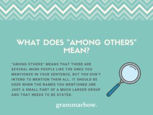 "Among Others" - Meaning & Correct Usage (Helpful Examples)