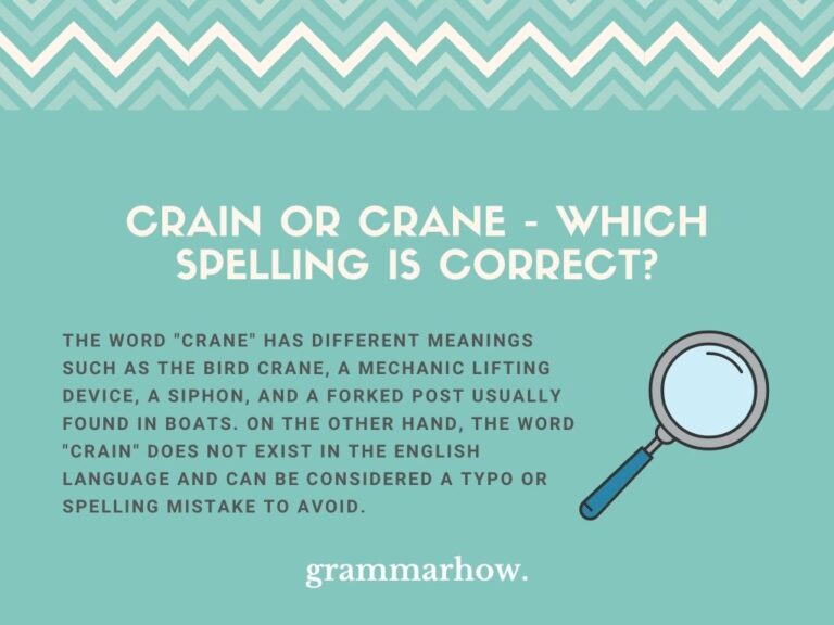 Crain or Crane - Which Spelling Is Correct? (With Examples)