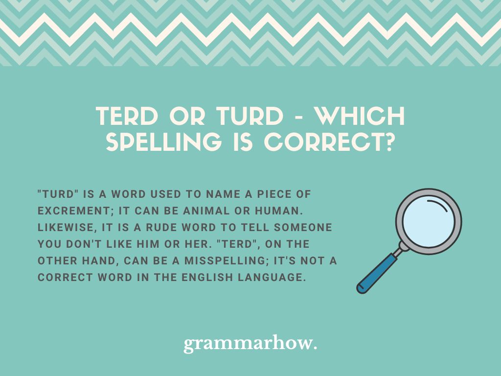 Spicey or Spicy: Which Spelling Is Correct? (With Examples) - TrendRadars