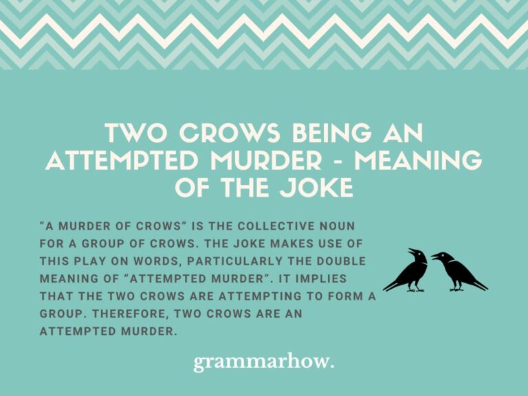 Two Crows Being an Attempted Murder - Meaning of the Joke