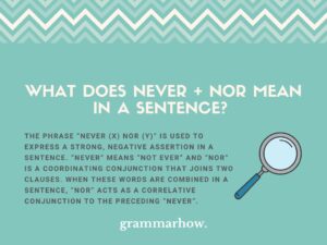 Never + Nor in a Sentence - Meaning & How to Use