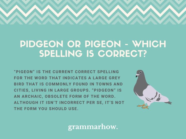 Pidgeon or Pigeon - Which Spelling Is Correct?
