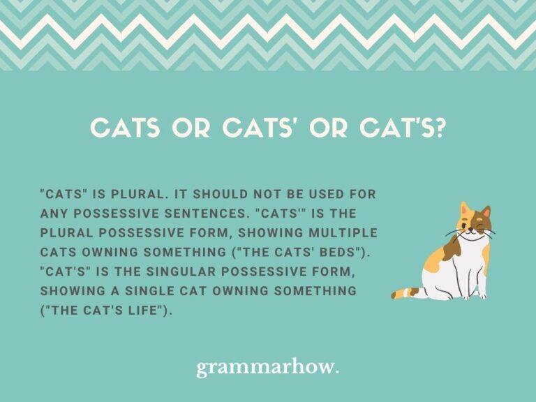 Cats or Cats' or Cat's? (Helpful Examples)