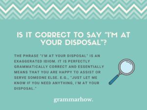 Is It Correct to Say “I’m at Your Disposal”?