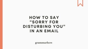 How to Say “Sorry for Disturbing You” in an Email