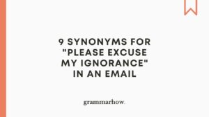 9 Synonyms for "Please Excuse My Ignorance" in an Email